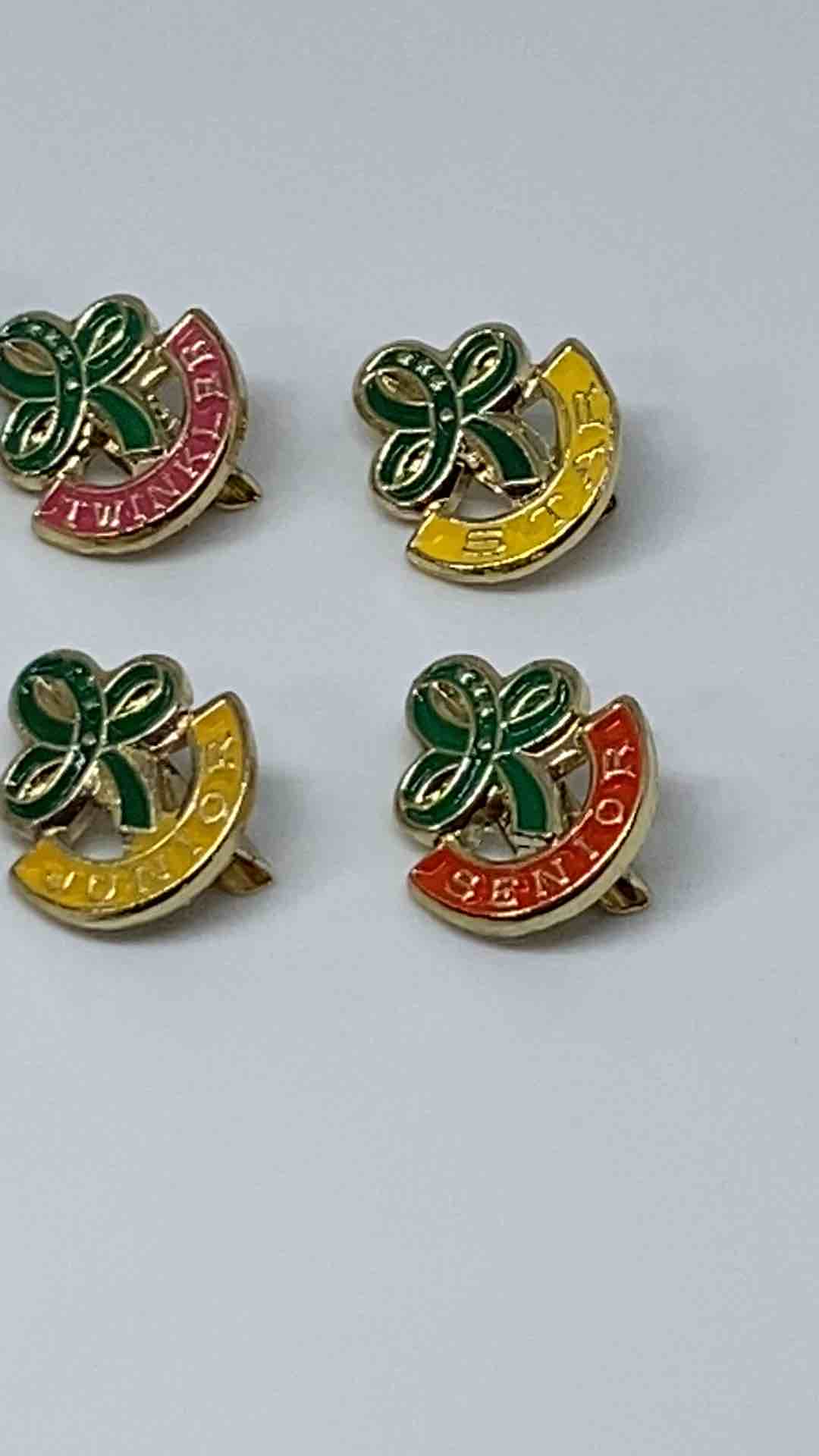 SET | Girl Scout Pin GSP Pin Twinkler Star Junior Senior Investiture ...