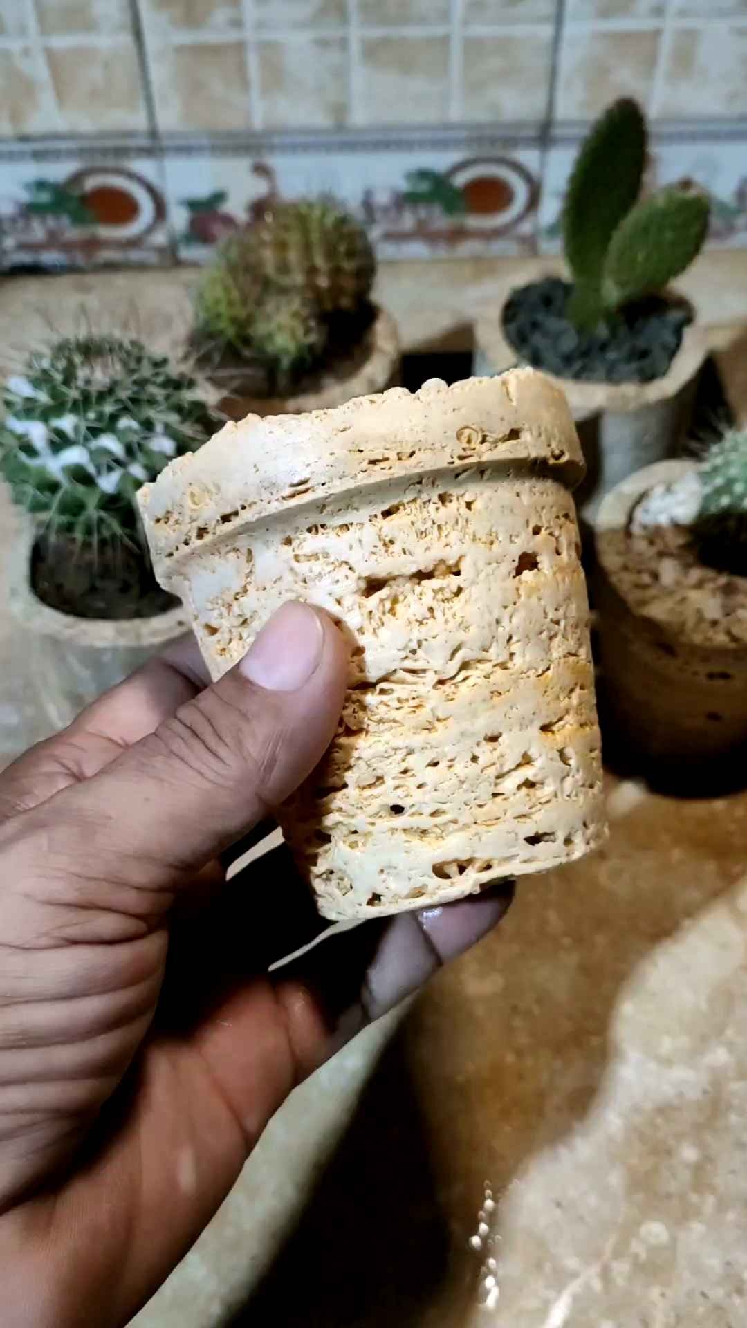 Cactus & Succulent Pots Travertine Flower Pots Travertine Retro Cactus ...