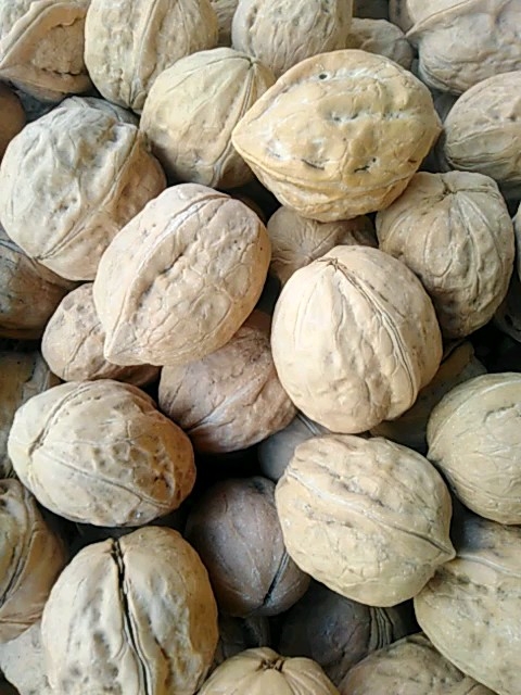 kashmiri Akhrot 500gm | Daraz.pk