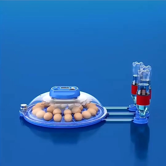 8 Eggs Intelligent Round Full Automatic Incubator with Extra bird Tray ...
