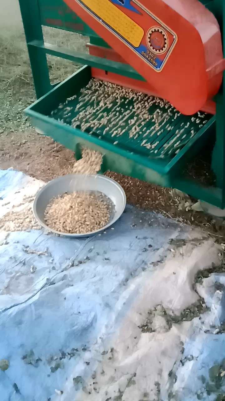 500 g Roasted peanuts 🥜 Moong phali | Daraz.pk