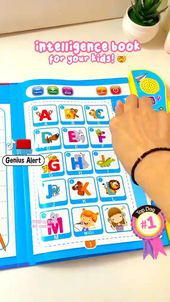 Intelligence Activity Book for Kids – Fun Puzzles, Brain Games ...