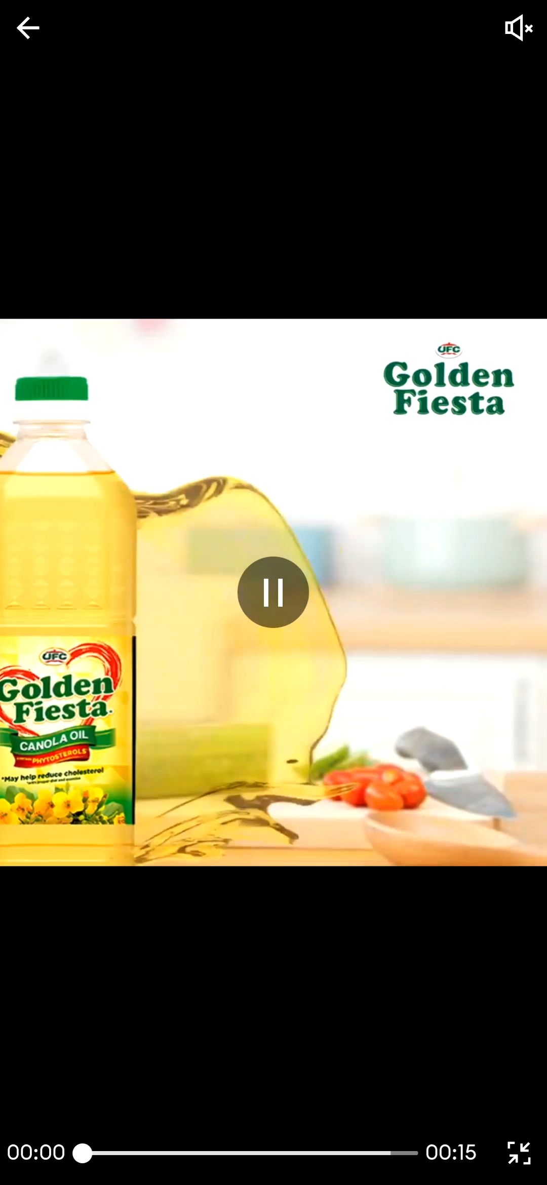 UFC Golden Fiesta Canola Oil healthy Pack 1 | Lazada PH