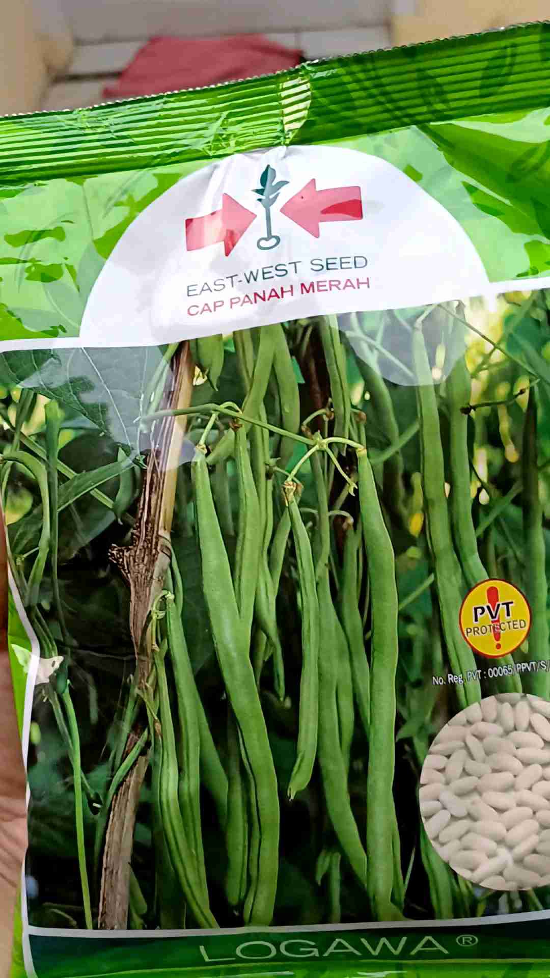 Benih Buncis Logawa Cap Panah Merah | Lazada Indonesia