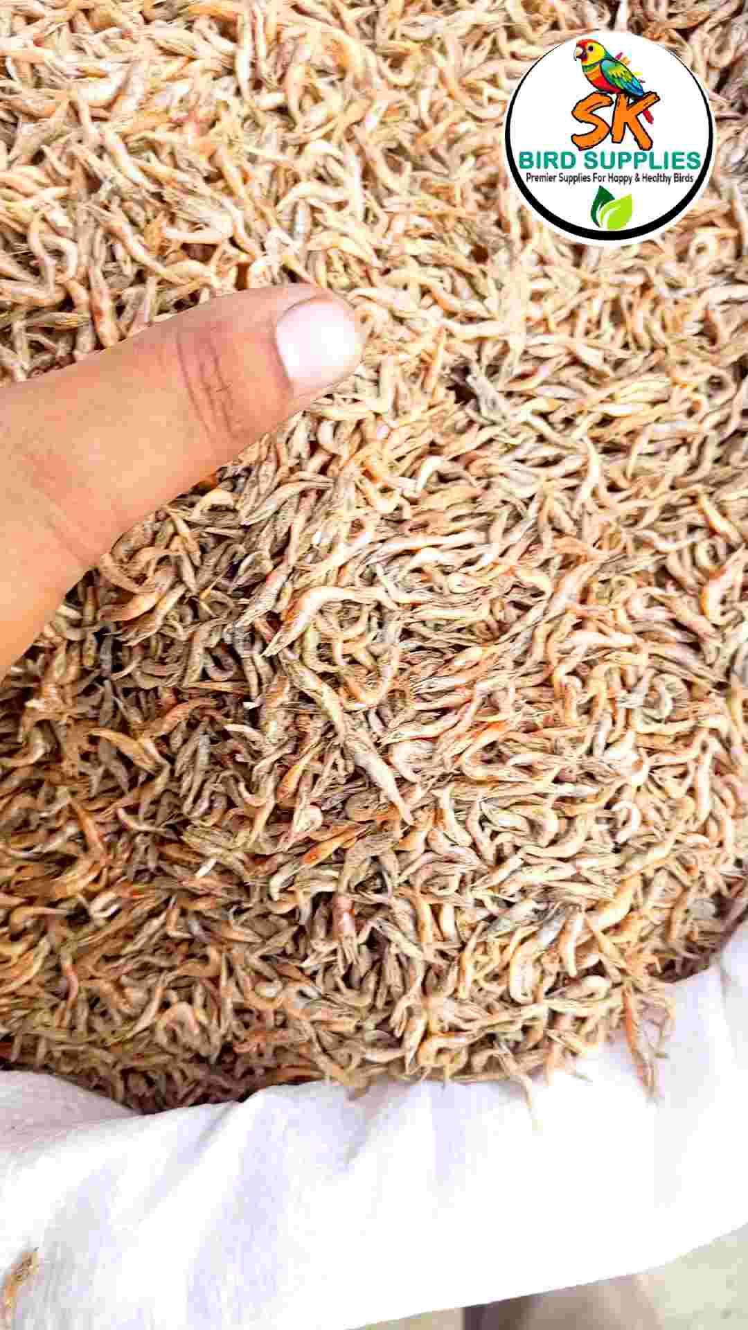 1kg Dry Prawns / Sookha Jheenga/ Dry Shrimps / Sukha Jhinga for Birds ...