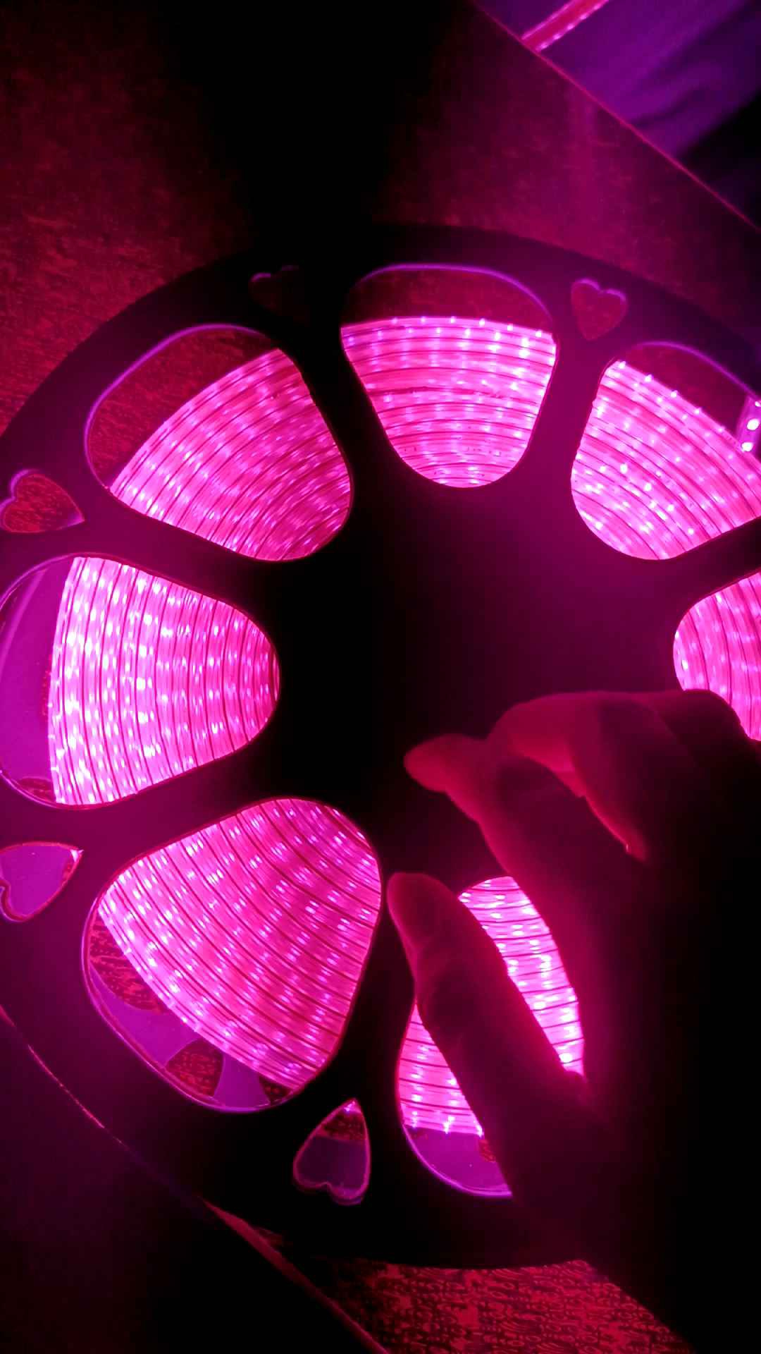 Ceiling Rope Strip LED Light For Decorations 4Color AVAILABLE ( Minimum ...