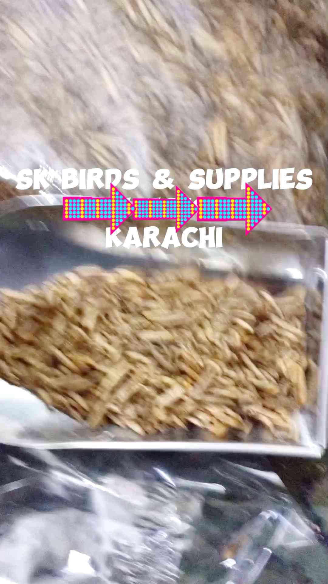 BSF LARVA WORMS 500 Grams Dry Worms Dried BSF Larvae | Daraz.pk