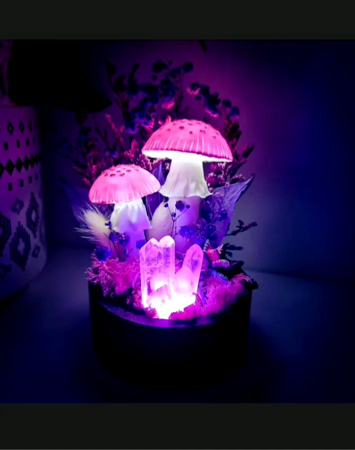 Beautiful Mashroom light night lamp sensor, light sensor light in ...