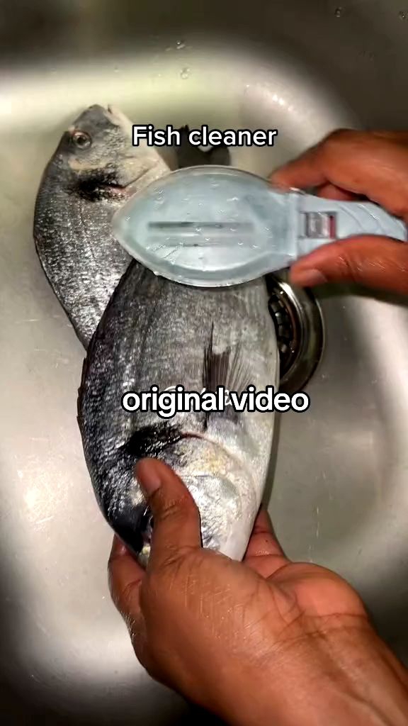 Fish Skin Brush Fast Remove Fish Scale Scraper Planer Fish Scaler ...