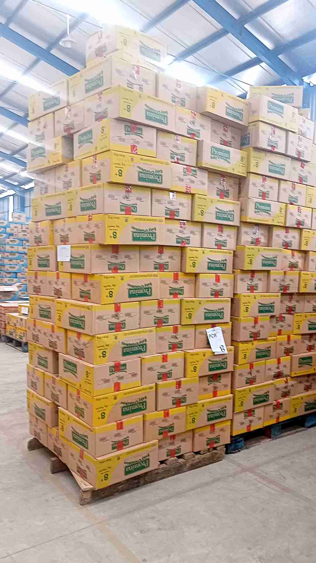 Promina Nasi Tim 100gr (1+) | Lazada Indonesia