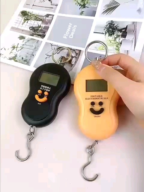 Portable Electric Digital Hanging Weight Scale/ weight machine | Daraz.pk