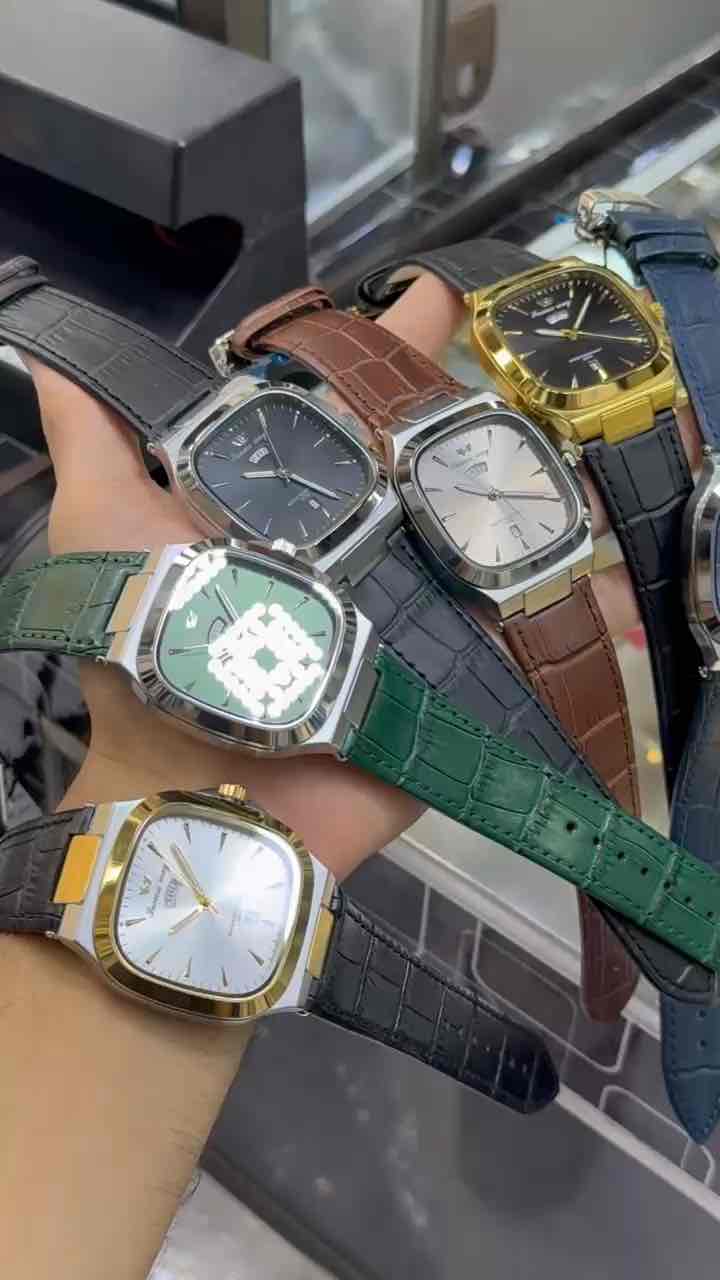Success Way Original Luxury Wrist Watch – Stylish Analog Timepiece for ...