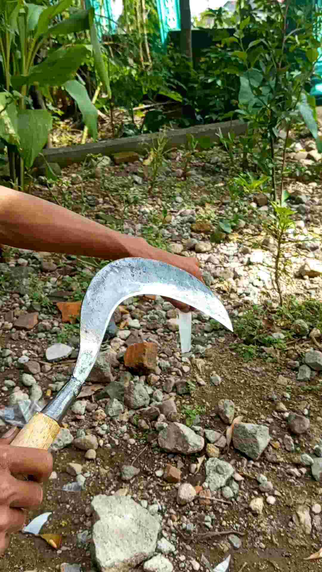 arit rumput Super tajam Sabit baja Asli pande sudah disepuh arit ...