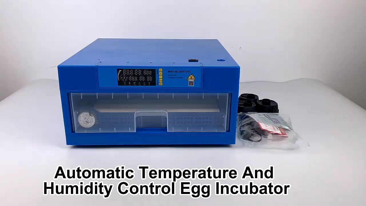 36 Eggs Weiqain Full Automatic Drawer Type Incubator, Dual Supply AC/DC ...