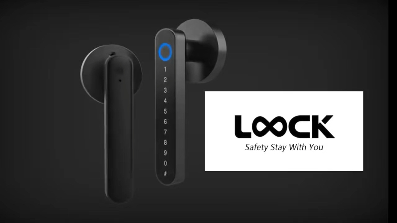 LOOCK B03 TUYA Smart Digital Door Lock Smart Home Device Ball lock ...