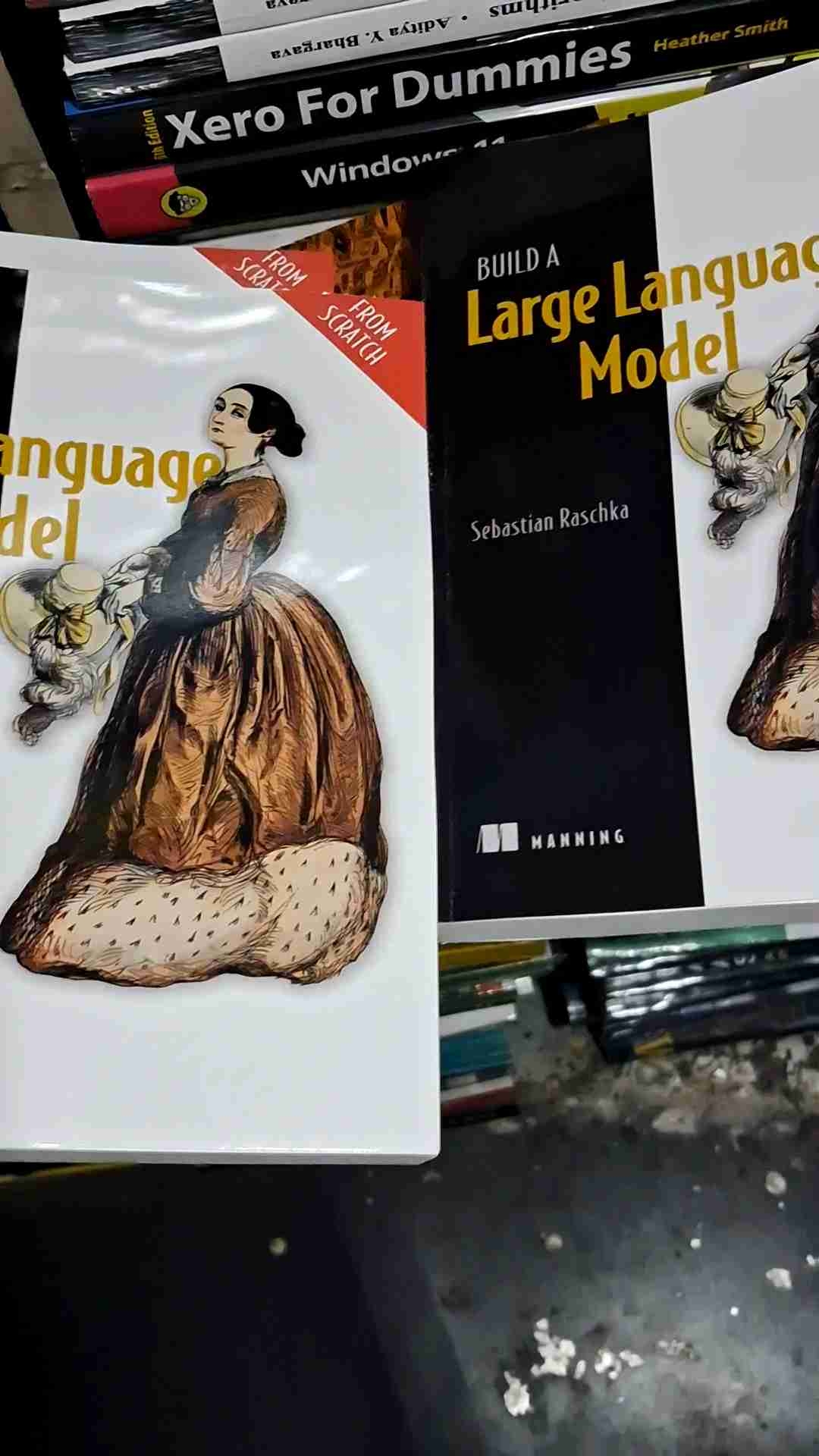 Build a Large Language Model (From Scratch) | Daraz.com.bd