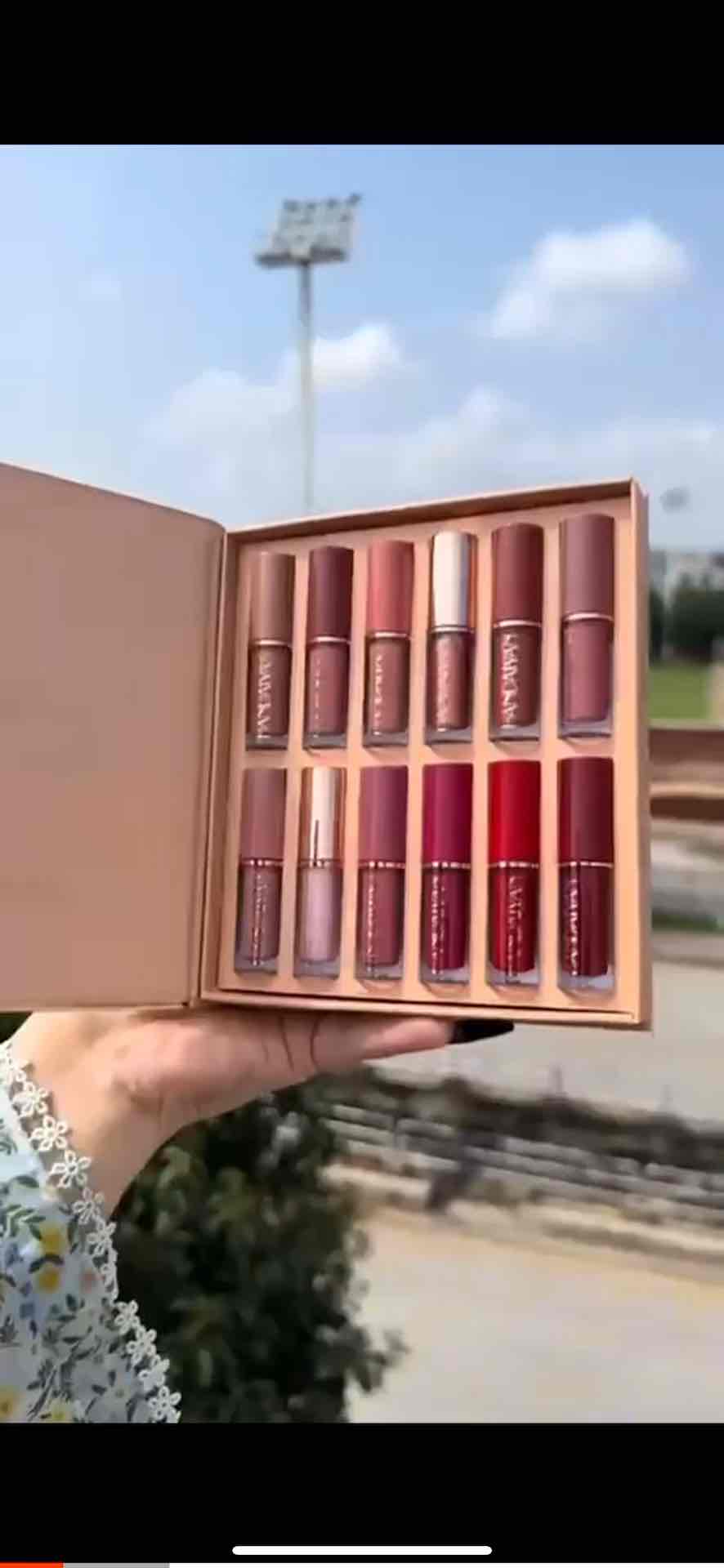 HANDAIYAN 12-Color Matte Liquid Lipstick Set (2.5ml x 12 Pcs) | Long ...