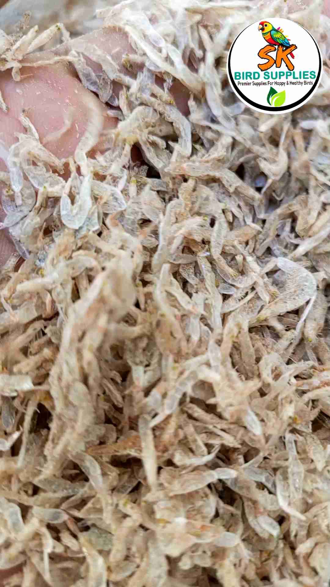 1Kg White Jhinga Dried Prawns Shrimps (Increase Fertility and Breeding ...