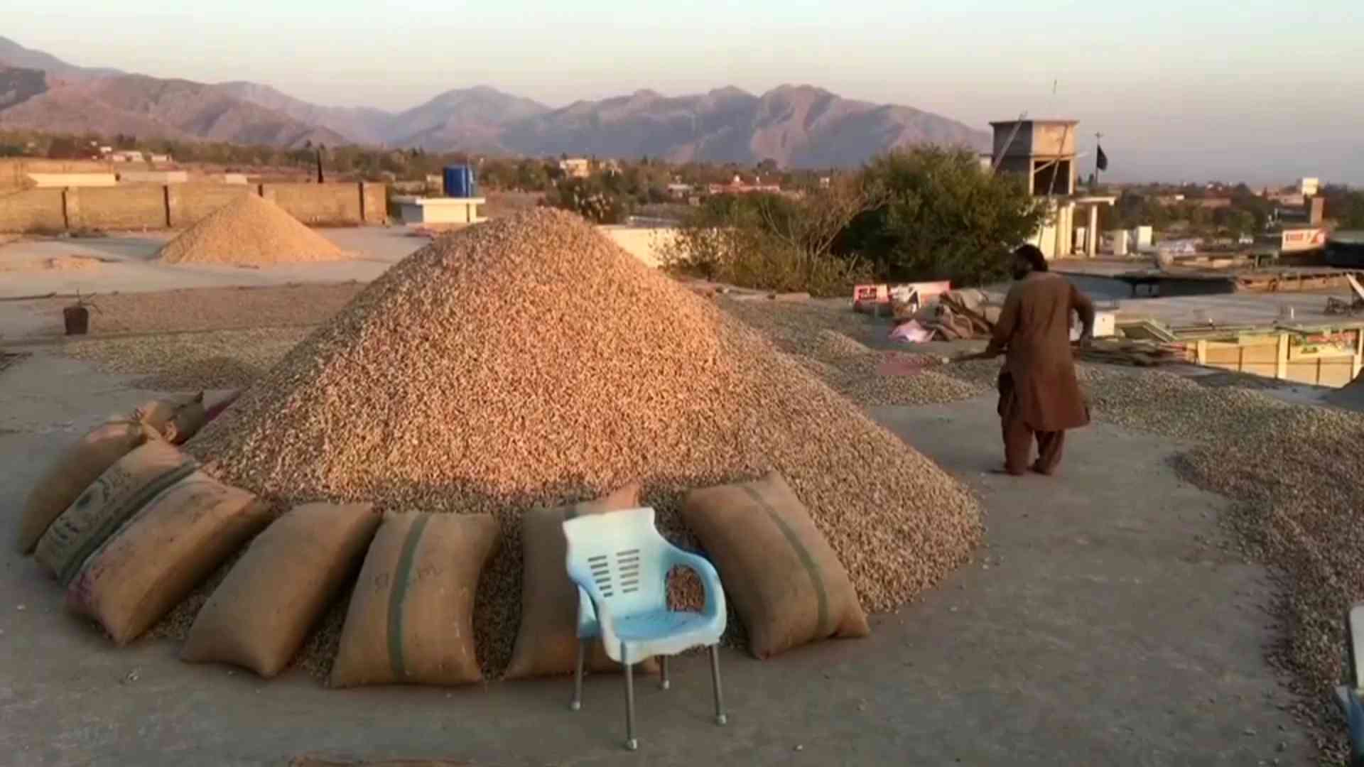 1kg Roasted premium and pure peanuts (Butter) Moong phali at low price ...