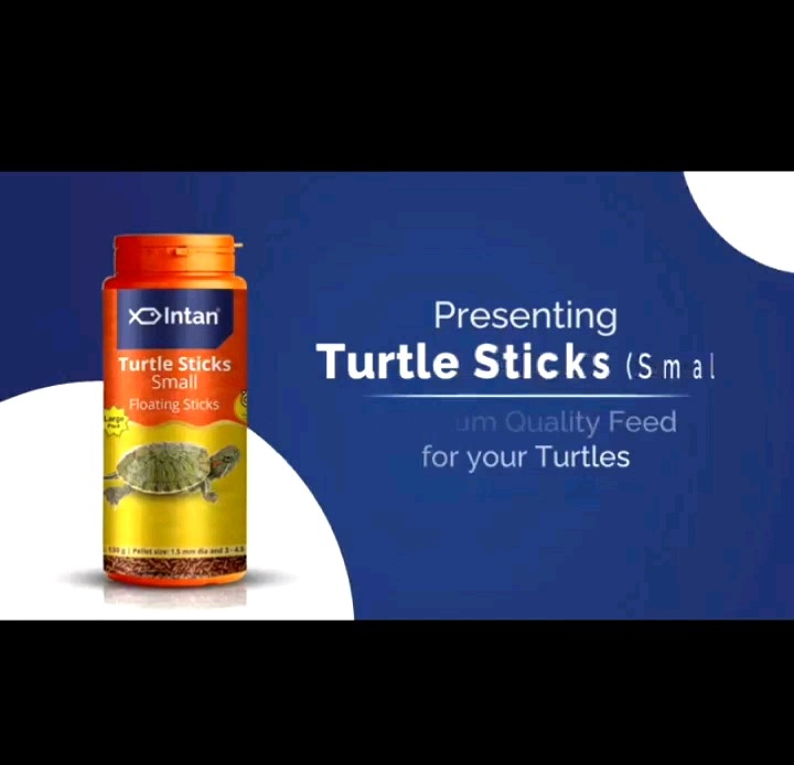 INTAN Turtle Sticks, Small Floating Stick for Turtles | Medium Pack ...