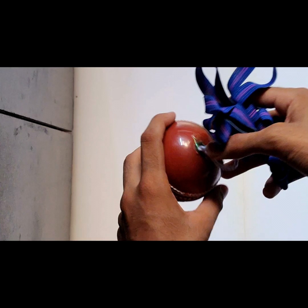 Cricket Hanging Practice Ball with and without elastic | Hangable ...