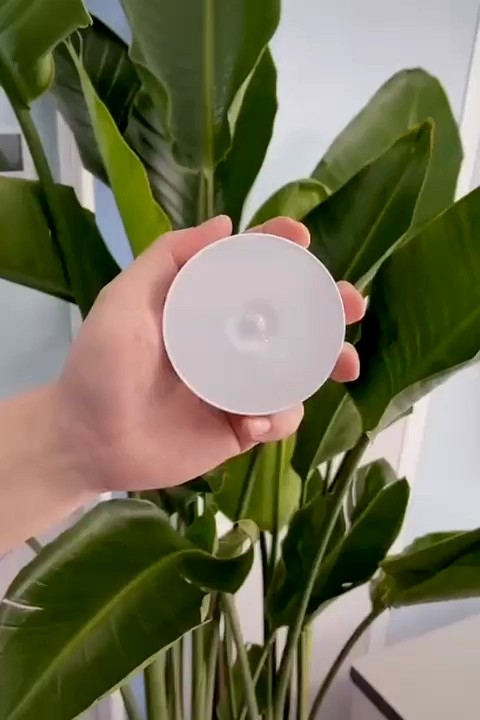 Human body sensor multifunctional night light | Daraz.lk