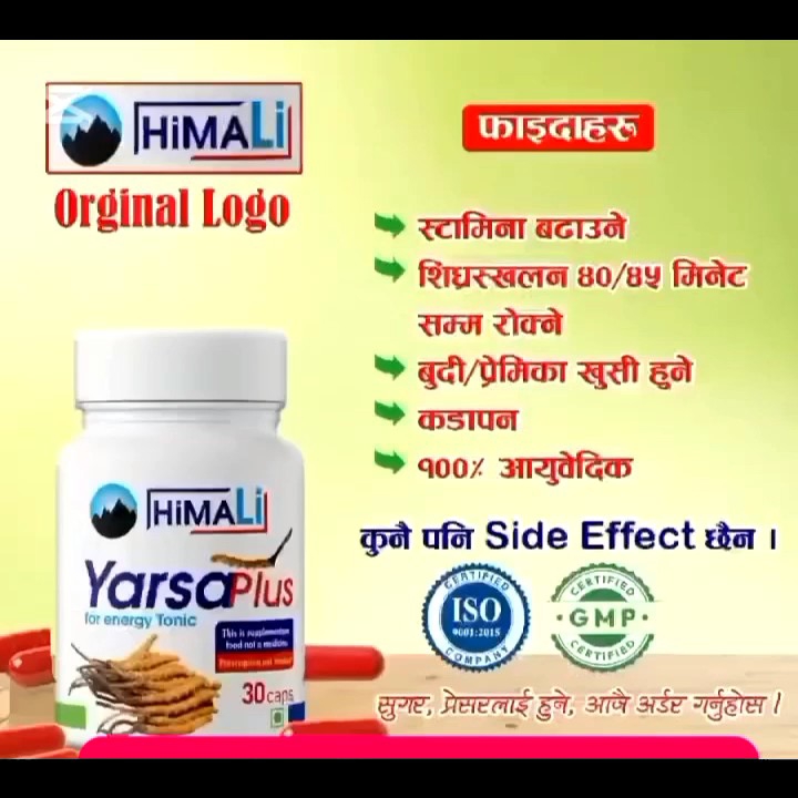 HIMALI Yarsa Plus Herbal Food Supplement Capsules for Energy & Stamina ...