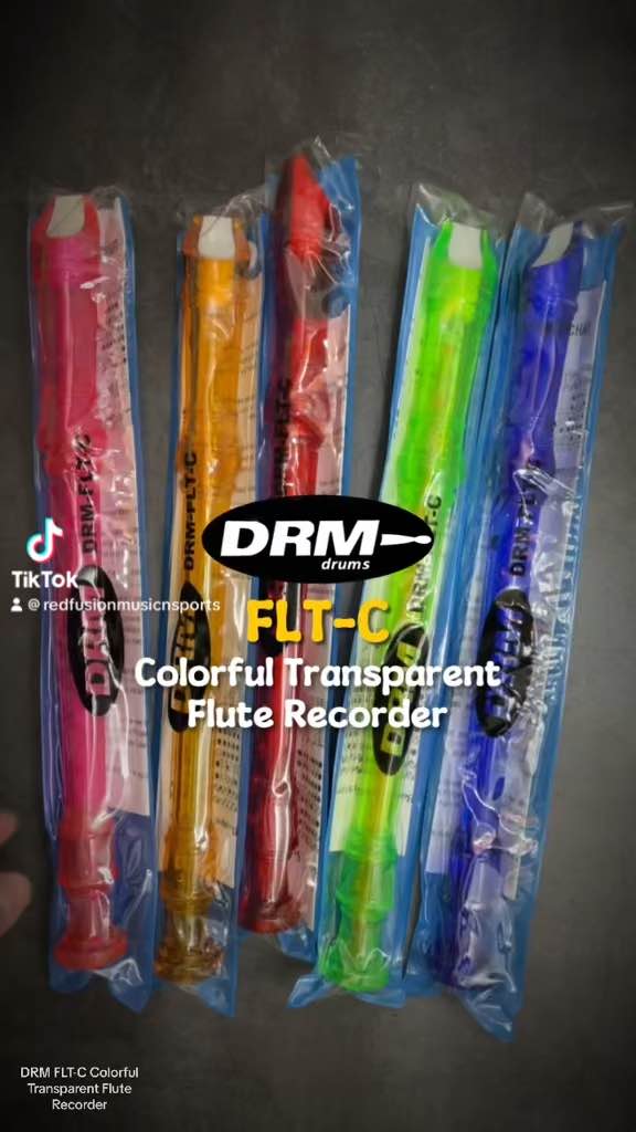 Colorful Transparent Flute Recorder | Lazada PH