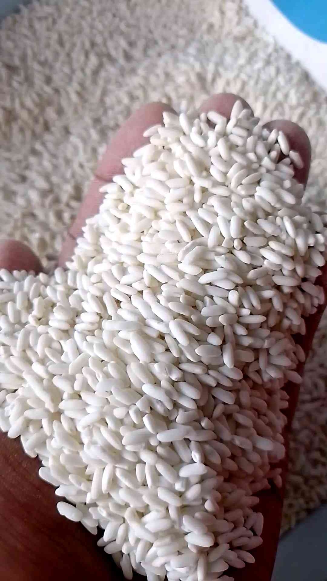 Malagkit Glutinous Rice 2KG, 5KG | Lazada PH