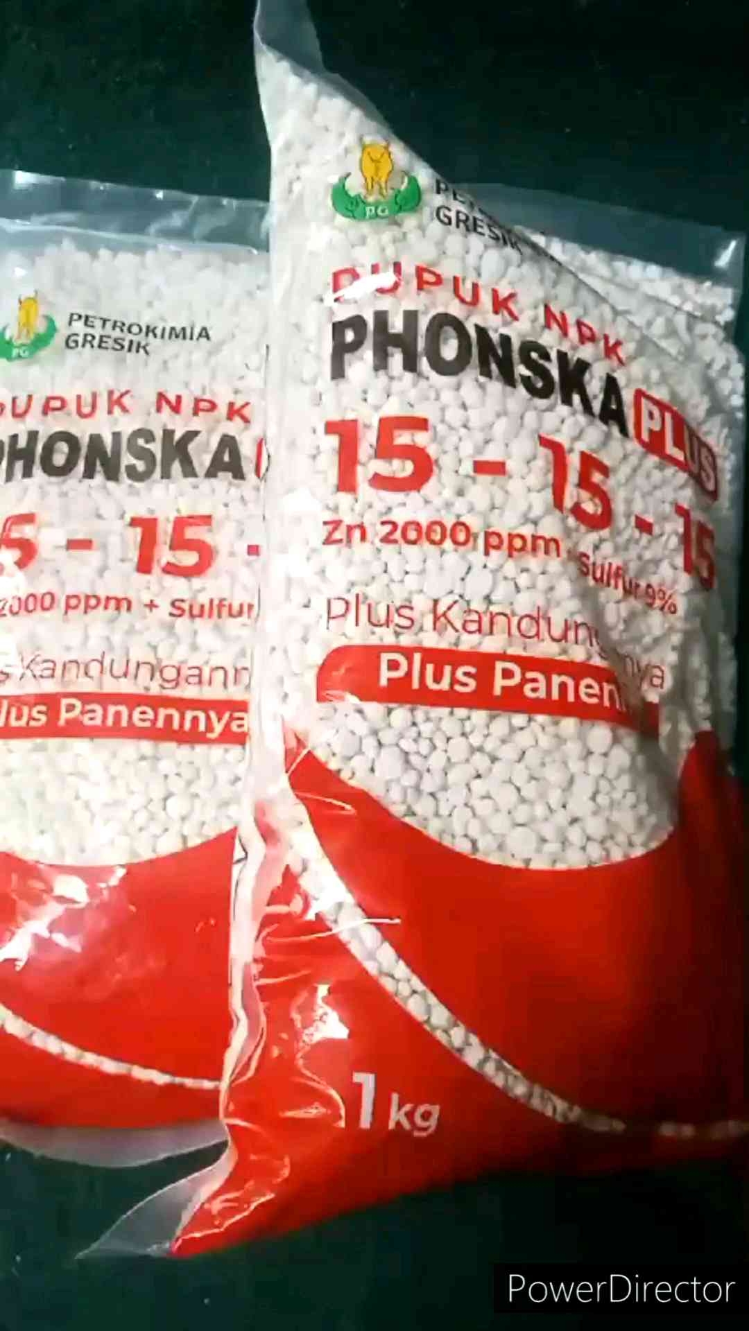 Pupuk NPK PHONSKA Plus (1'kg) | Lazada Indonesia