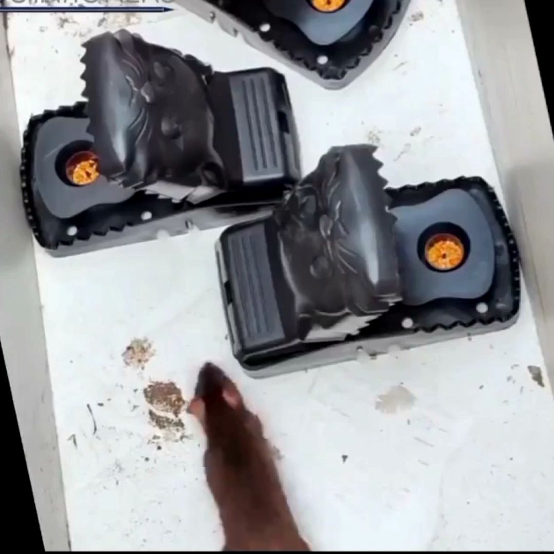 Heavy Duty Mouse Trap | Reusable Rat Killer with Stainless-Steel ...