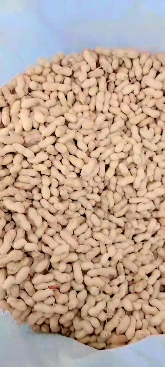 Fresh Roasted peanuts Mong Phali Pack of 1kg | Daraz.pk