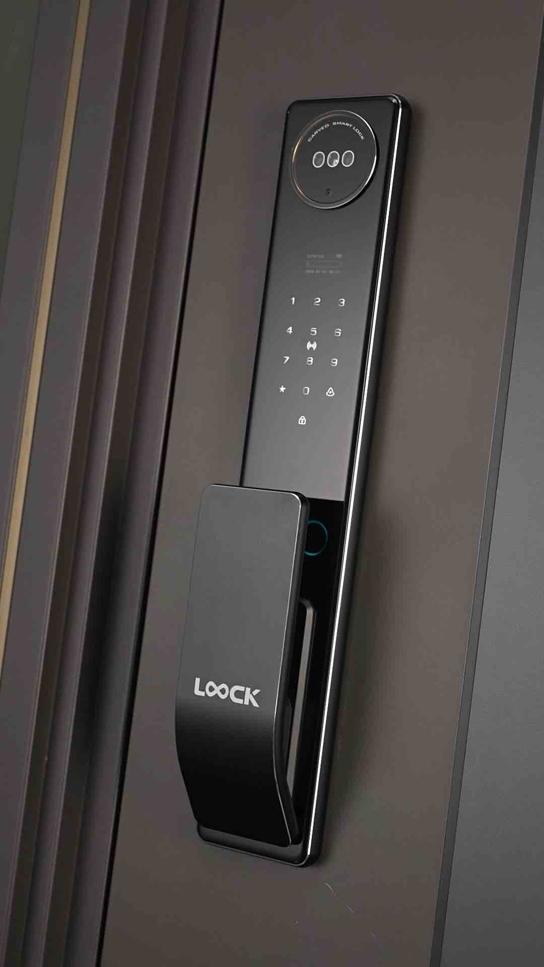 LOOCK F04 SMART Digital DOOR LOCK Keyless Entry Smart Home Device TUYA ...